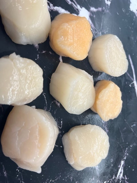 Jumbo dry Diver scallop U8 Count | Anna's seafood - Fish Market