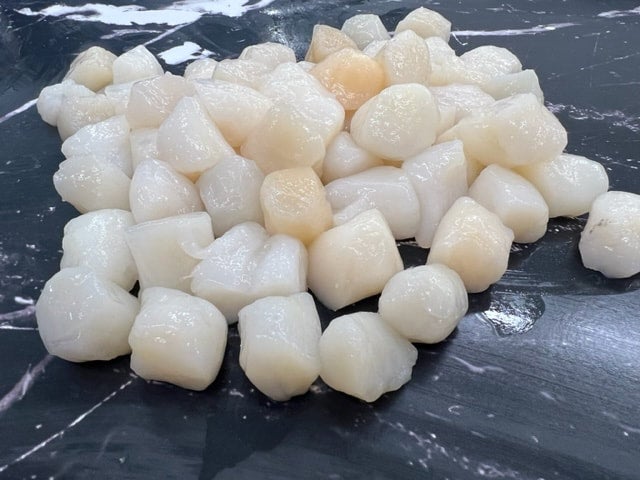 raw scallops