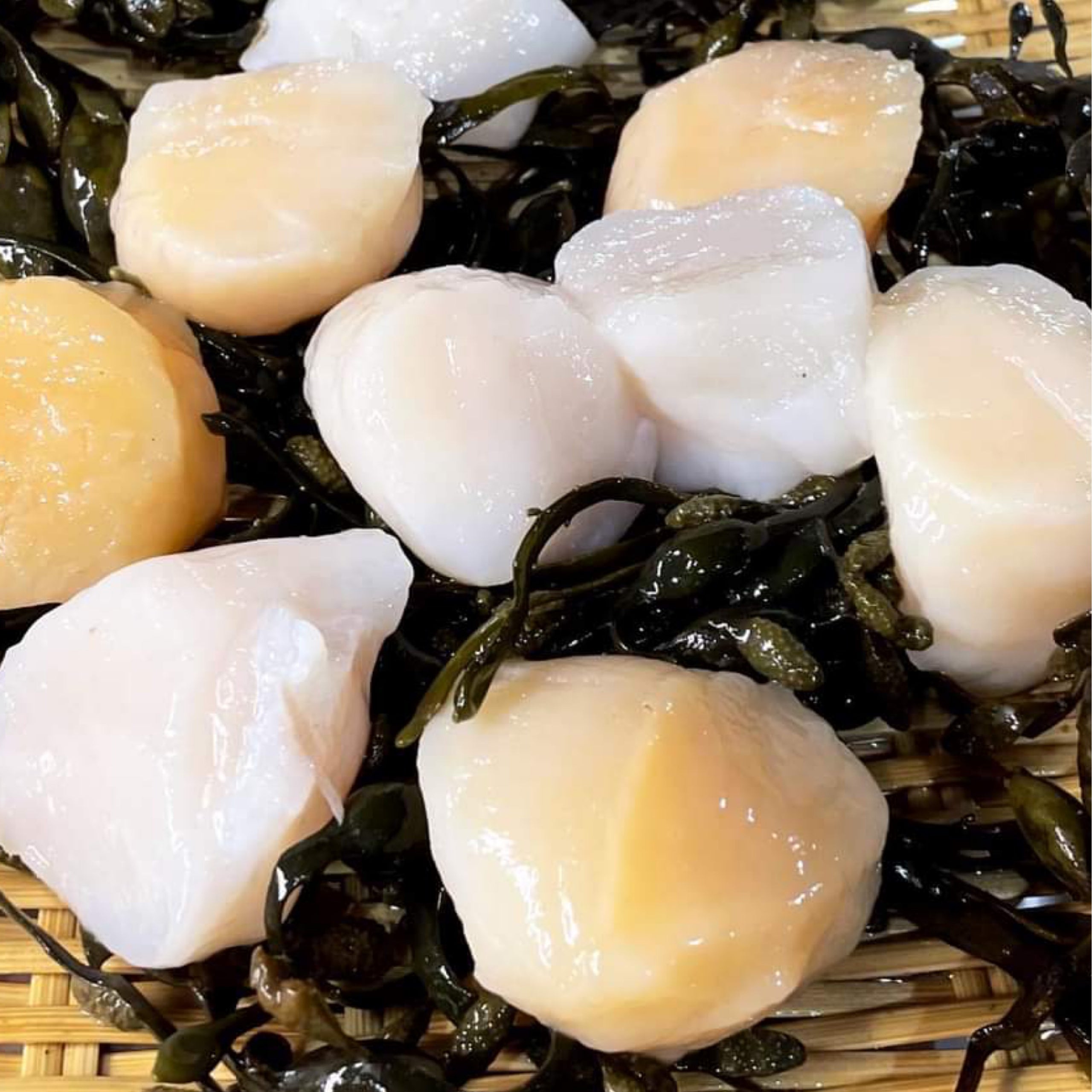 Japanese Dry Diver Scallops U15 Count | Anna's seafood - Fish Market